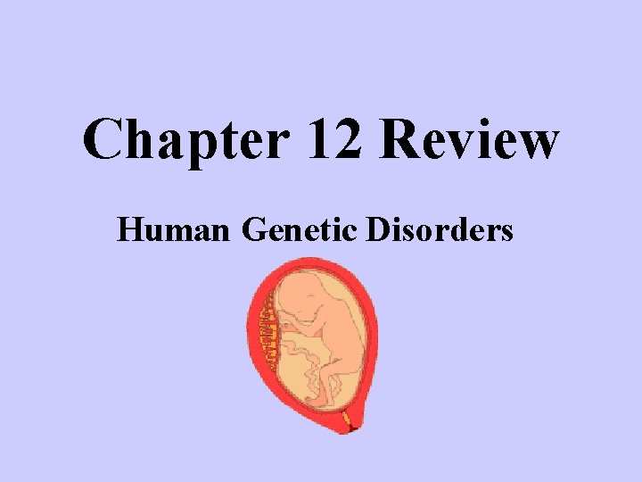 Chapter 12 Review Human Genetic Disorders This Organized