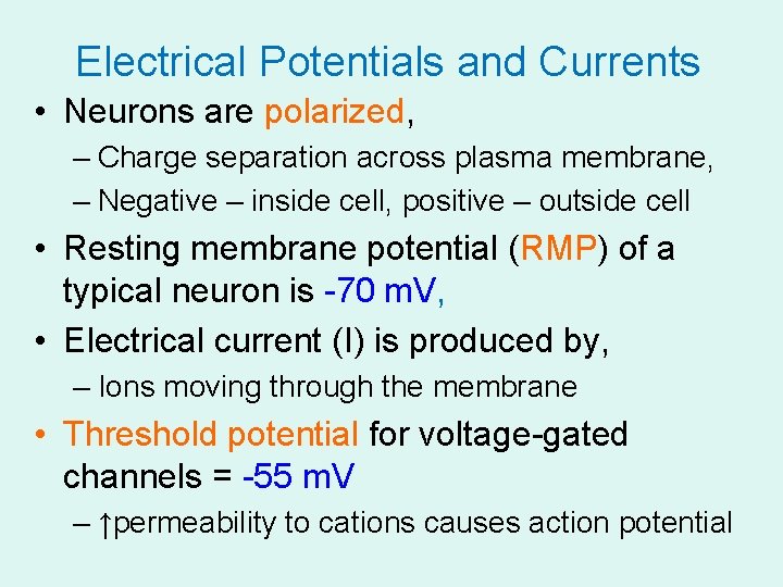 Physiology BIO 240 Lecture No 6 Neurons Action
