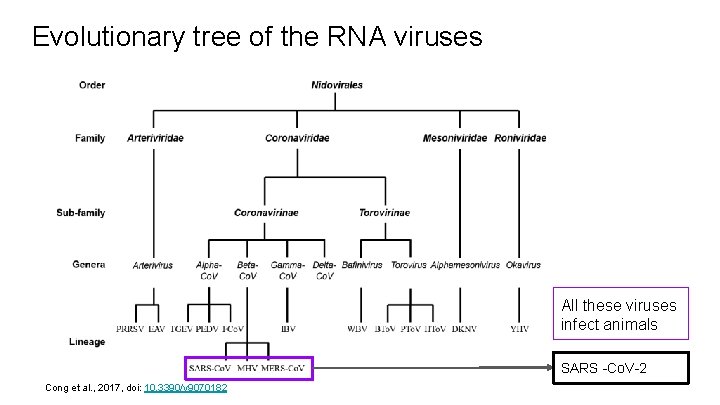 Evolution of RNA Viruses Collaborative Curriculum Development Program