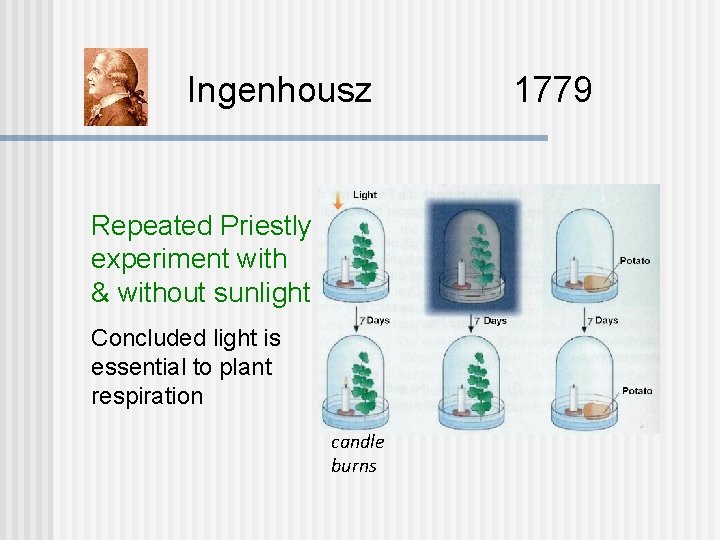 Deducing the Nature of Photosynthesis Observed Plants grow