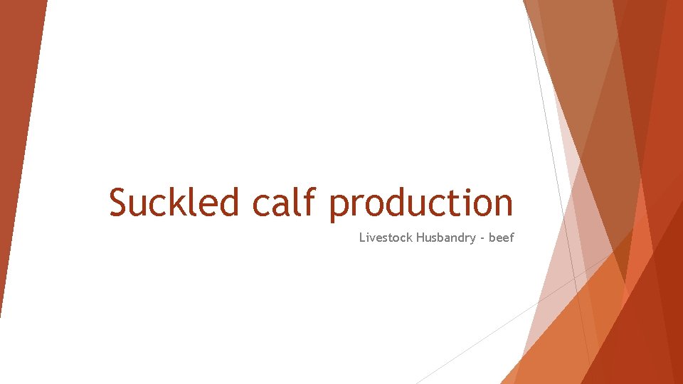 Suckled calf production Livestock Husbandry beef Recap Ruminants