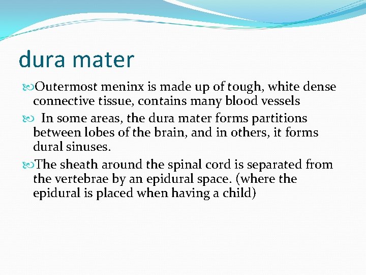 The Brain Meninges The brain and spinal cord