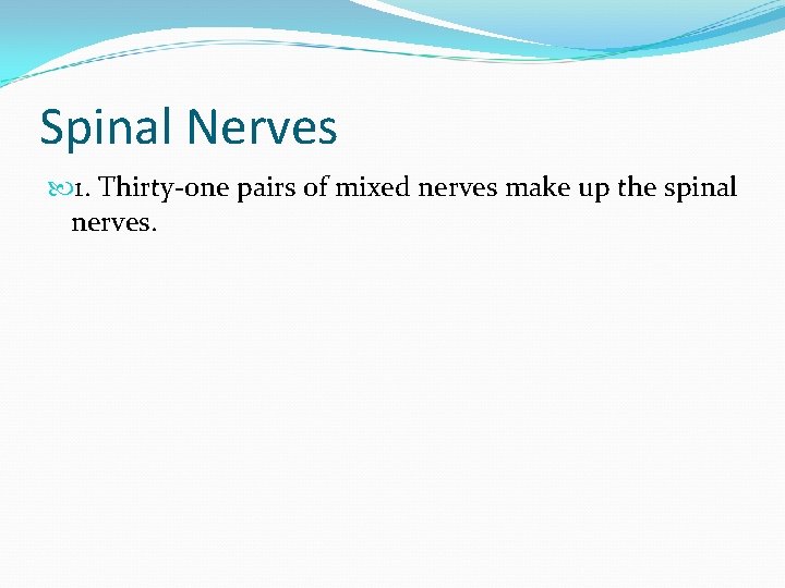 The Brain Meninges The brain and spinal cord