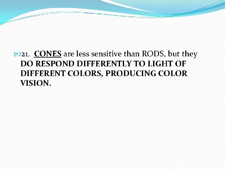 The Brain Meninges The brain and spinal cord
