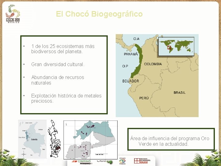 Desarrollo de proyectos piloto para el manejo sostenible