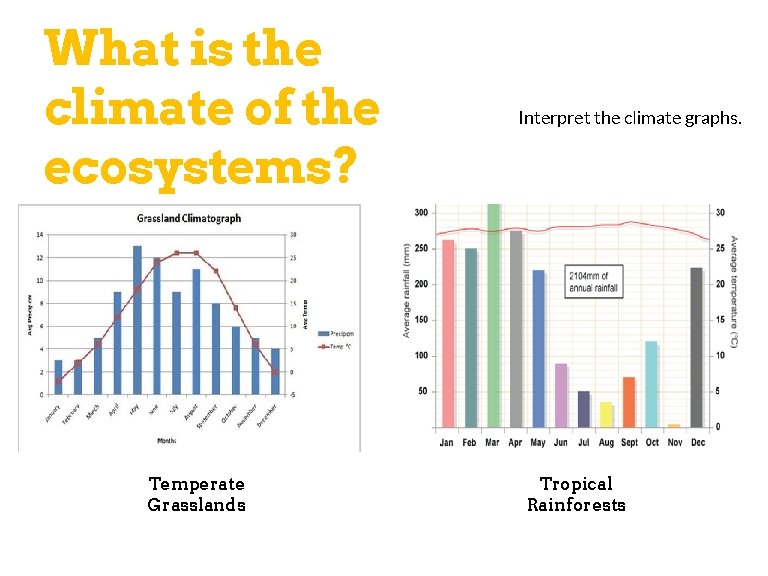 06 September 2021 What are the characteristics of