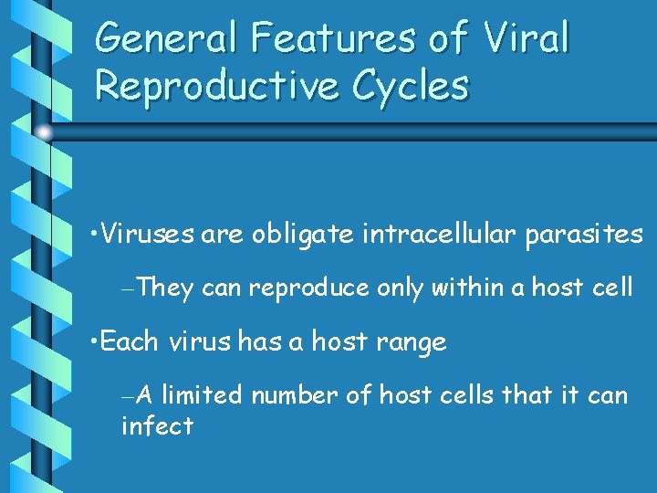 The Genetics of Viruses and Bacteria 1 m