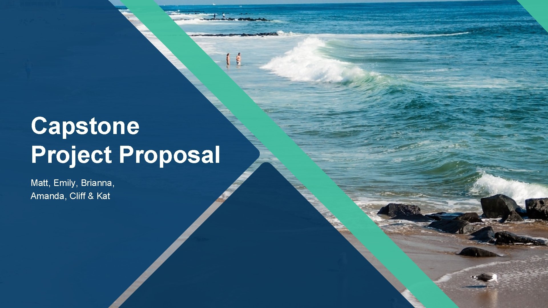 Capstone Project Proposal Matt Emily Brianna Amanda Cliff