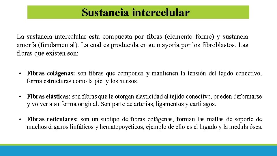 Tejido Conectivo General DR GERSON VIZCANO LPEZ Tejido