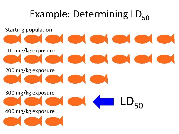 Introduction to Toxicity and LD 50 Based on