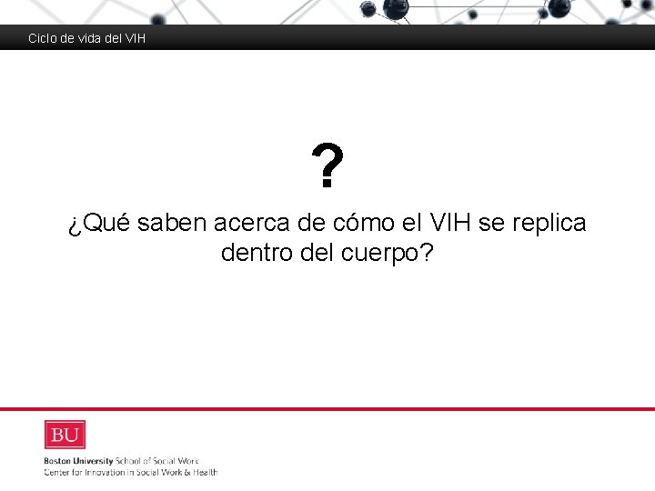 Ciclo de vida del VIH Boston University School