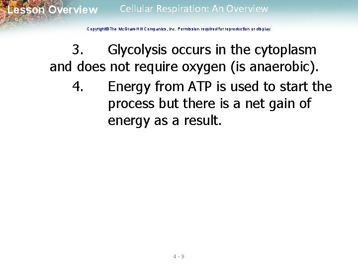Lesson Overview Cellular Respiration An Overview Lesson Overview