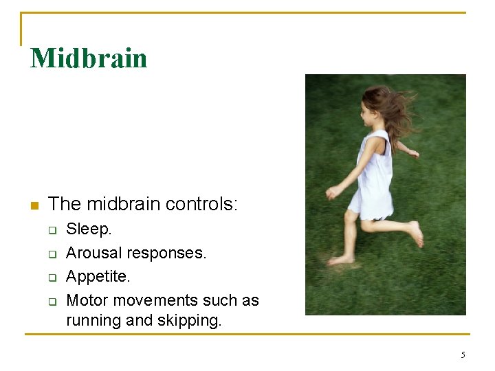 Brain Development in Children and Teens Family Development