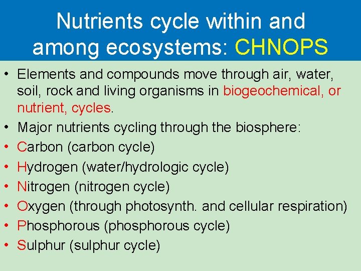Ecosystems What Are They and How Do They
