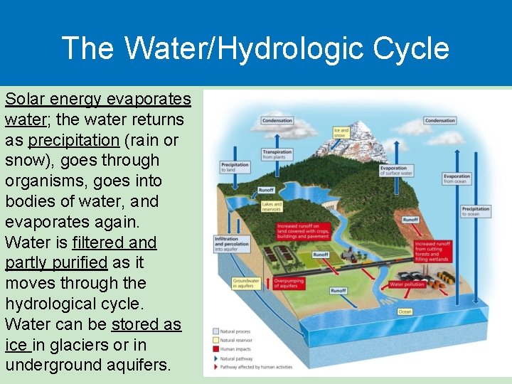 Ecosystems What Are They and How Do They