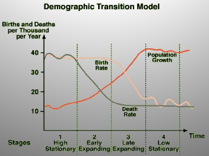 Demographic transitional model Population Change Outputs Inputs Births