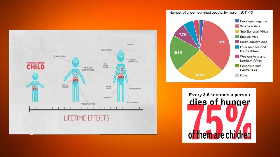 Our Hungry Earth A look at World Hunger