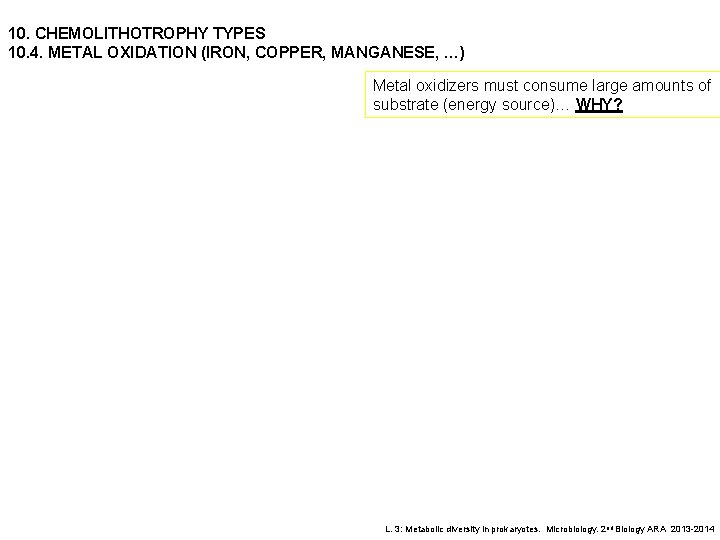LECTURE 3 MICROBIAL METABOLISM 1 Outline of metabolism