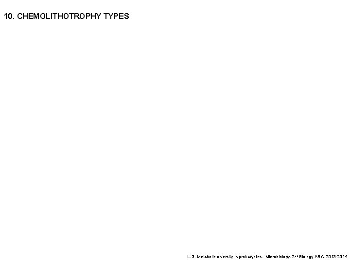 LECTURE 3 MICROBIAL METABOLISM 1 Outline of metabolism
