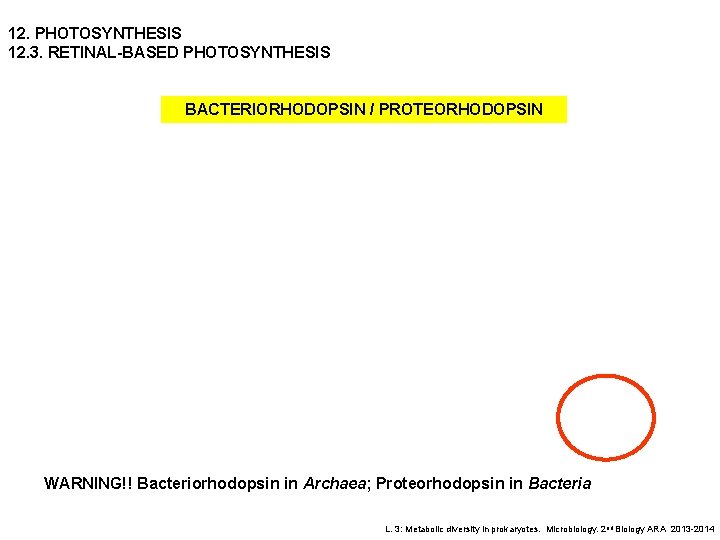 LECTURE 3 MICROBIAL METABOLISM 1 Outline of metabolism