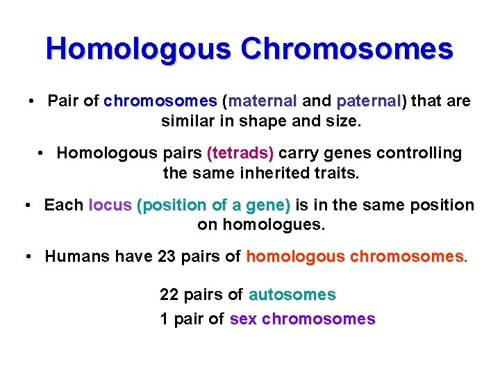 MEIOSIS Homologous Chromosomes Pair of chromosomes maternal and