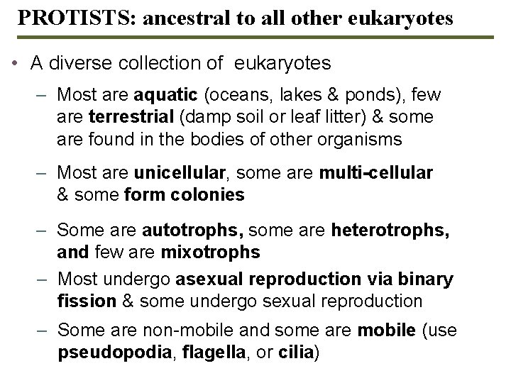 Figure 15 UN 07 Bacteria Prokaryotes Archaea Protists