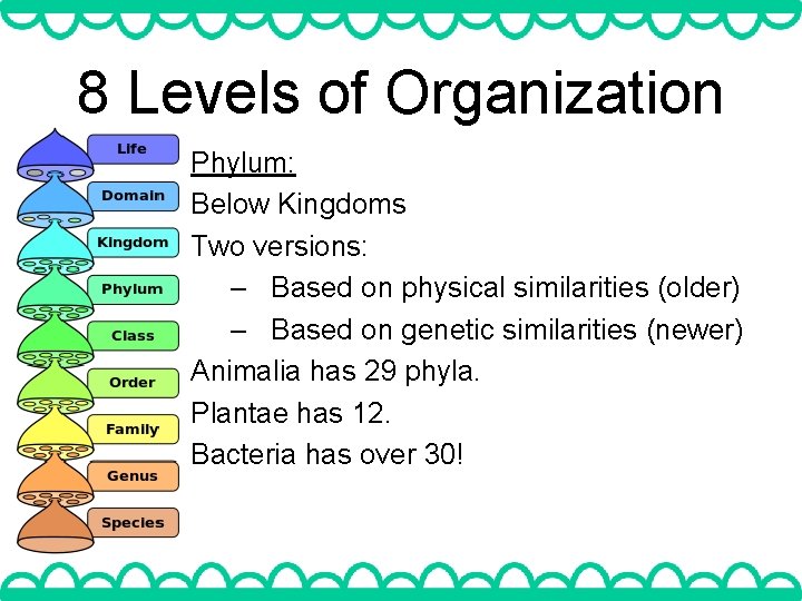 Unit 6 Continued Todays Objective I can classify