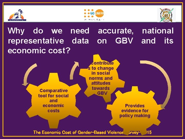 The Egypt Economic Cost of Gender Based Violence