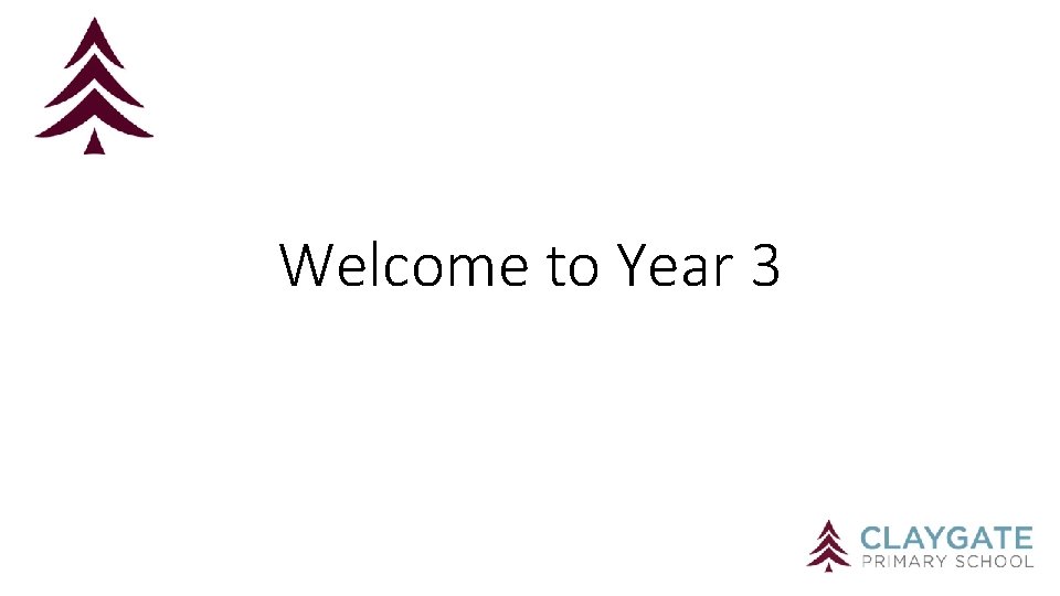 Welcome to Year 3 Meet the Team Hazel