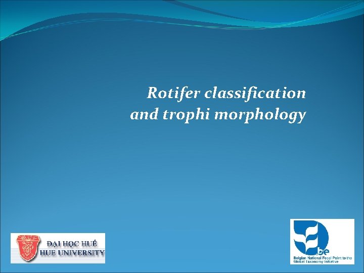 Rotifer classification and trophi morphology Rotifer trophi Differentiation