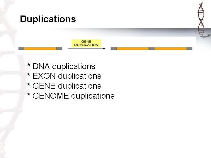 Genomic Evolution in Human presented by KIM Jundae