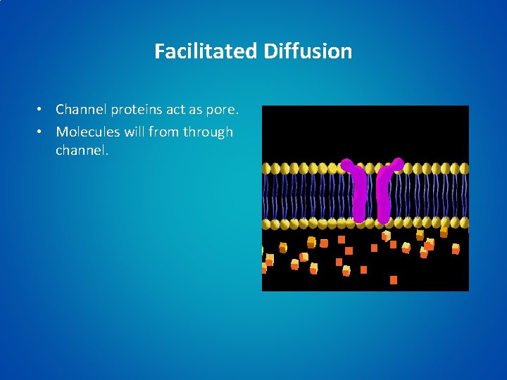 Cell Membrane Passive Transport Diffusion Facilitated Diffusion Osmosis