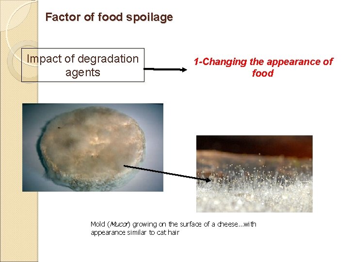 Factor of food spoilage Factor of food spoilage