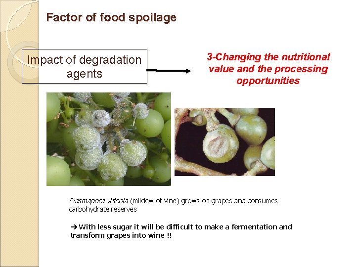 Factor of food spoilage Factor of food spoilage
