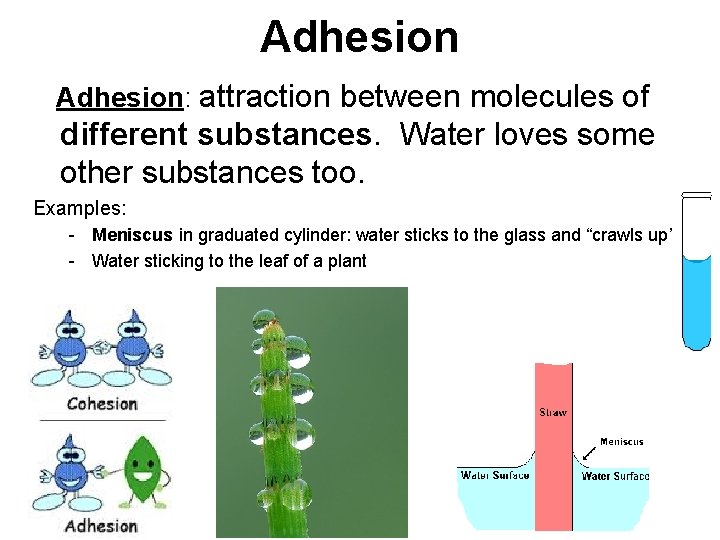QOD What is the difference between a covalent