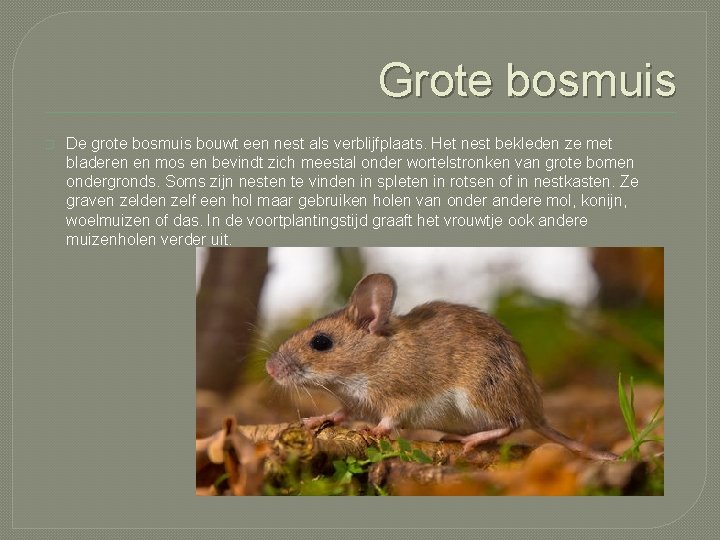 Flora en Faunawet Soortenlijst 281 300 Tabel 2