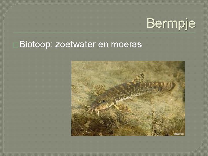 Flora en Faunawet Soortenlijst 281 300 Tabel 2