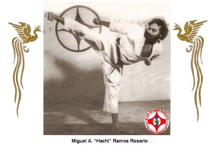 KYOKUSHIN PUERTO RICO Mas Oyama Karate ESTAMPAS DEL