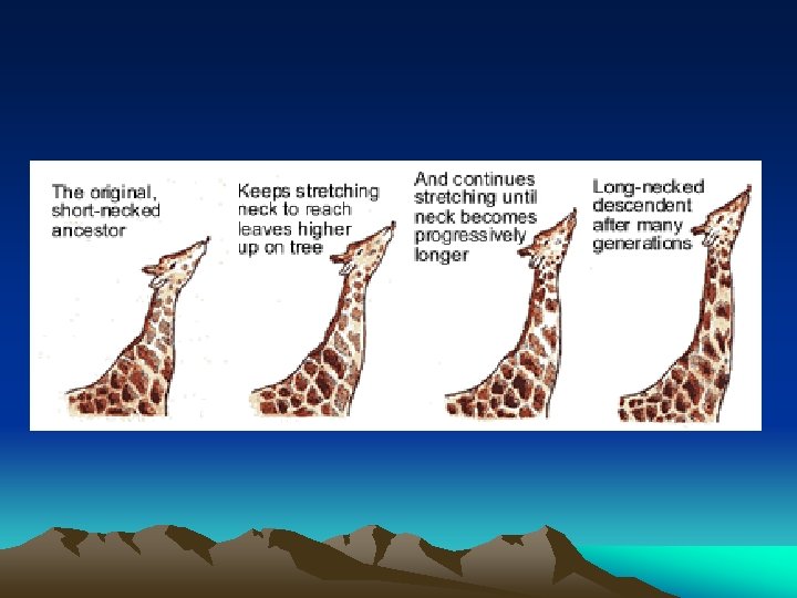 Change Through Time Evolution Jean Bapiste Lamarck lived
