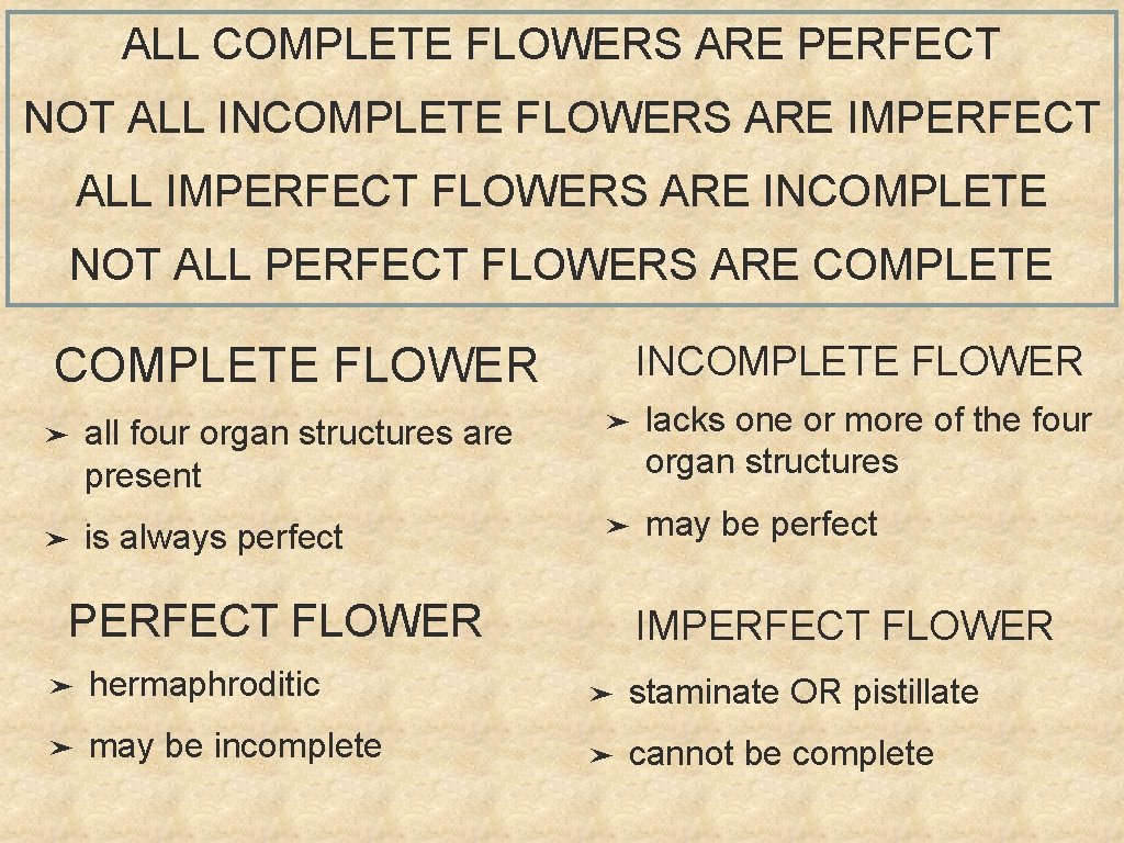Parts of a flower Journeyman Prep Course Buncombe