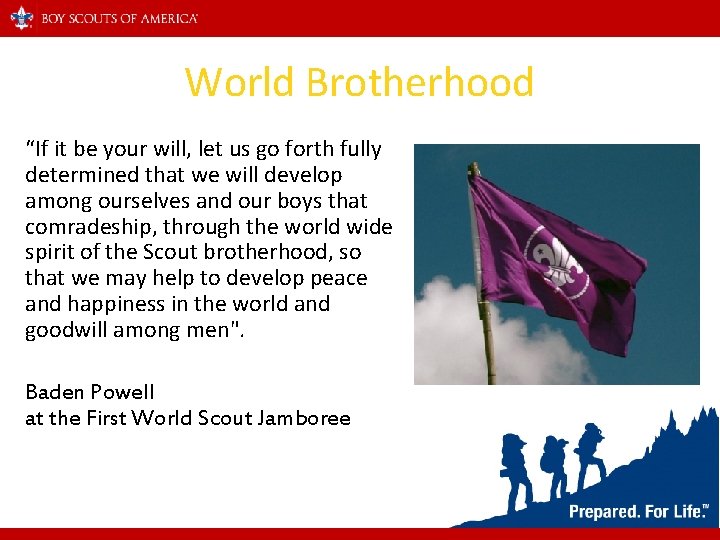 CED 711 International Scouting World Crest The World