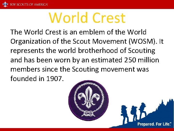 CED 711 International Scouting World Crest The World