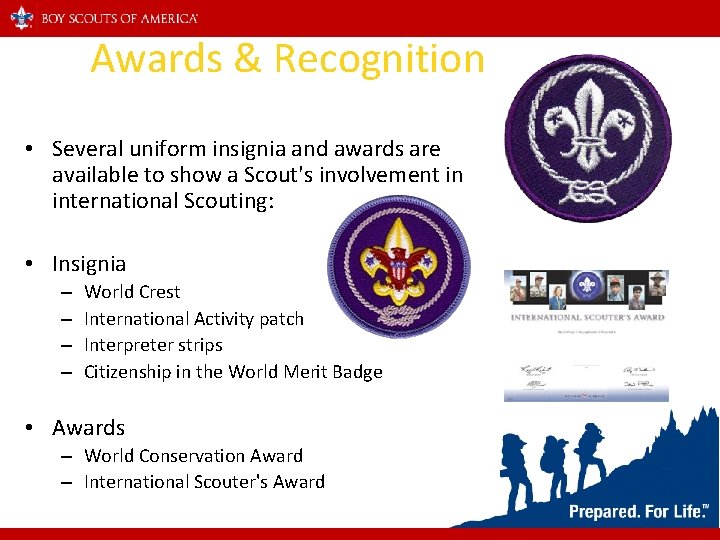 CED 711 International Scouting World Crest The World