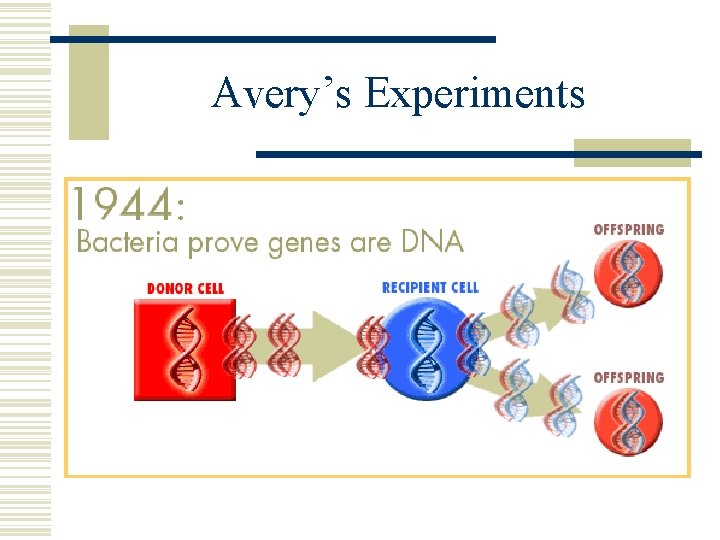 Chapter 12 DNA High School Biology Class Discovery