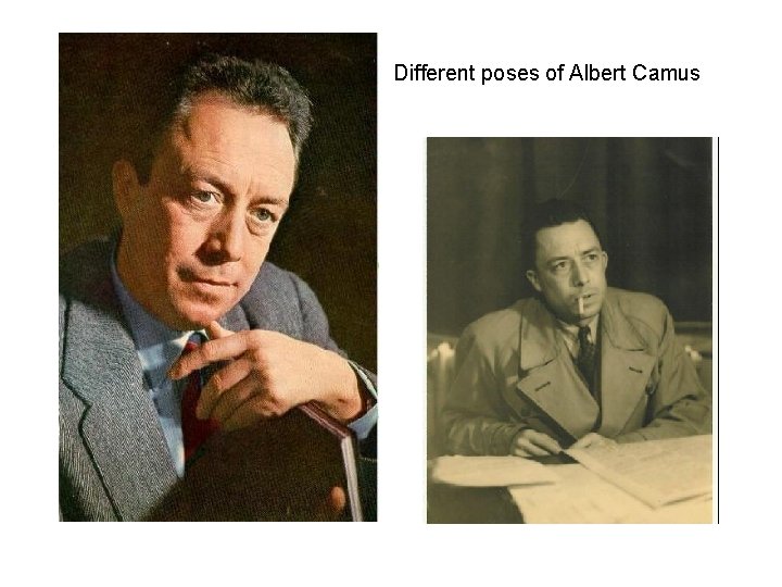 Albert Camus The Stranger Introduction English 12 The