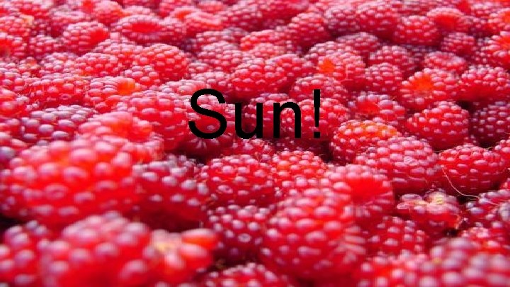 The Best Berry Walter Harrill Imladris Farm Why
