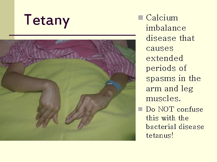 Muscular System Read Ch 6 Review Questions begin