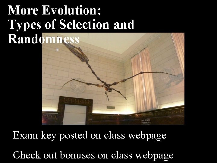 More Evolution Types of Selection and Randomness Exam