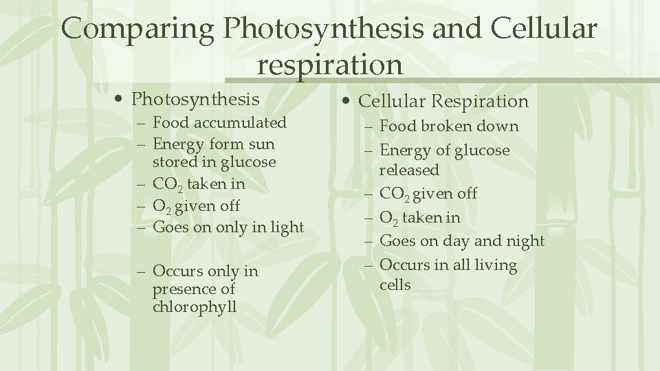 Comparing Photosynthesis and Cellular respiration Photosynthesis Food ...