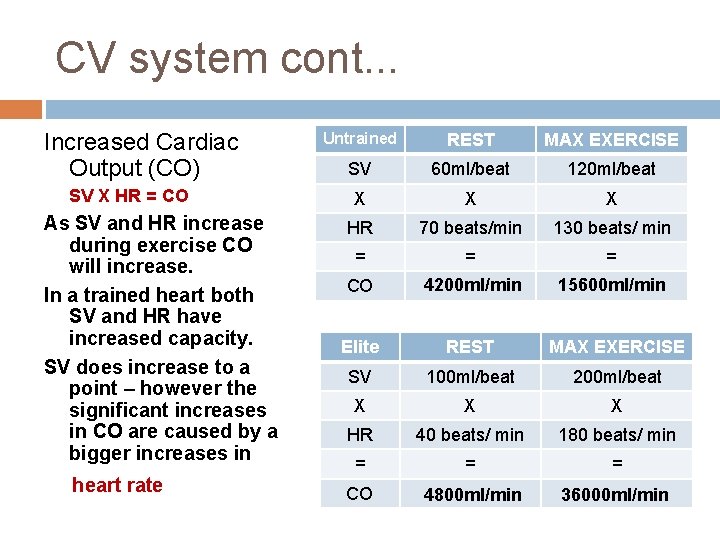 LONG TERM EFFECTS OF EXERCISE ON THE BODY